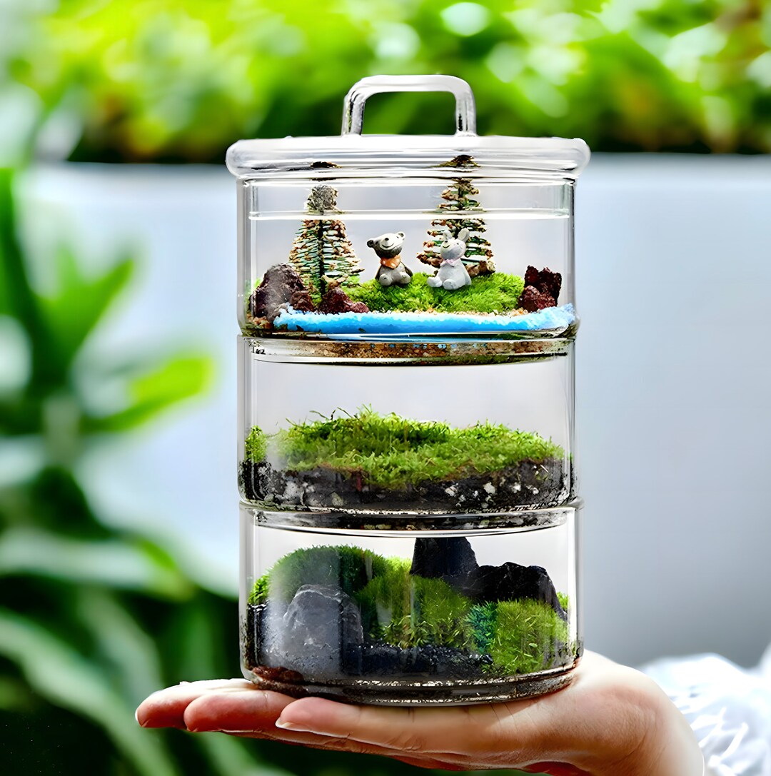 Mini Terrarium, Terrarium With Lid, Stackable Terrarium, Indoor ...