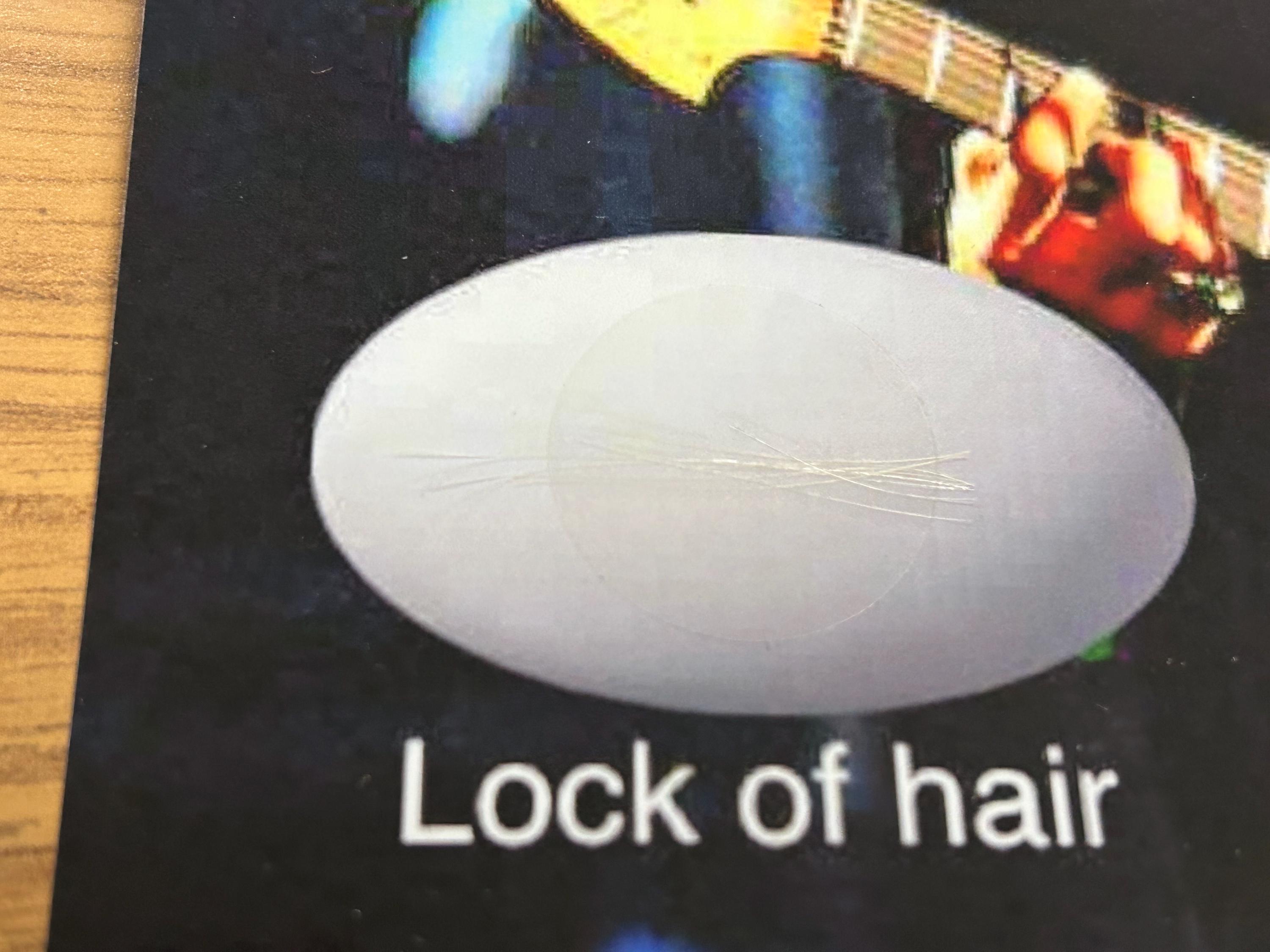 Kurt Cobain Nirvana Hair Strand Lock Speck Relic & Worn Piece Photo ...