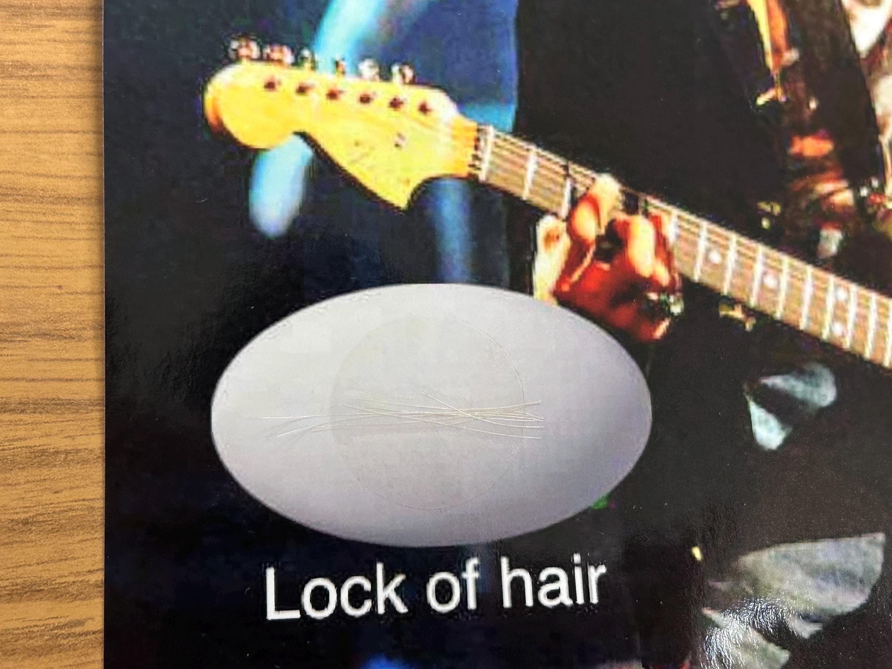 Kurt Cobain Nirvana Hair Strand Lock Speck Relic & Worn Piece Photo ...