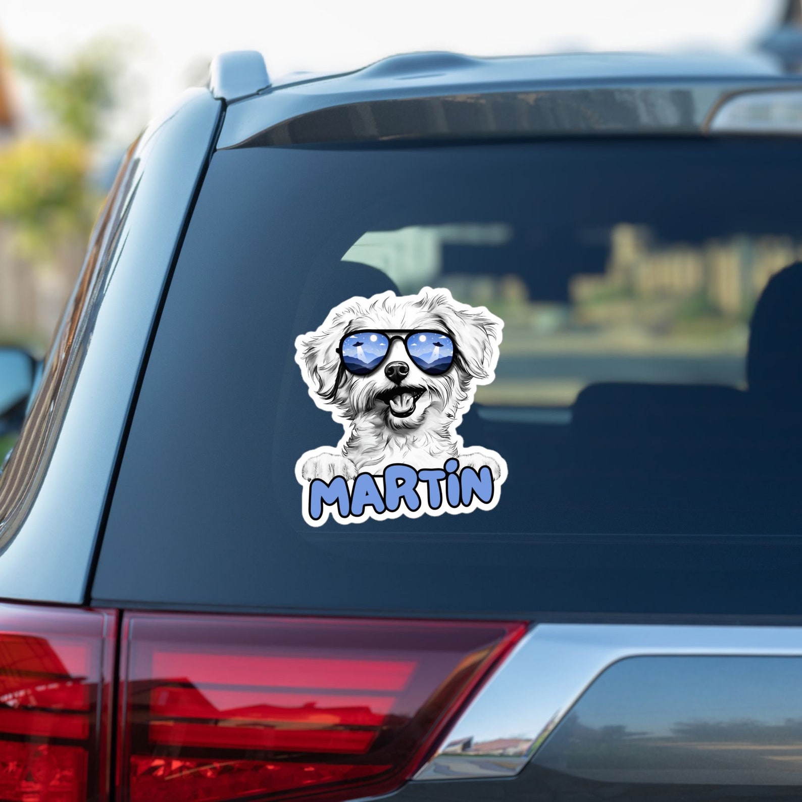 Calcomanía para coche Pomapoo: Perro asomando con gafas de sol - Nombre ...