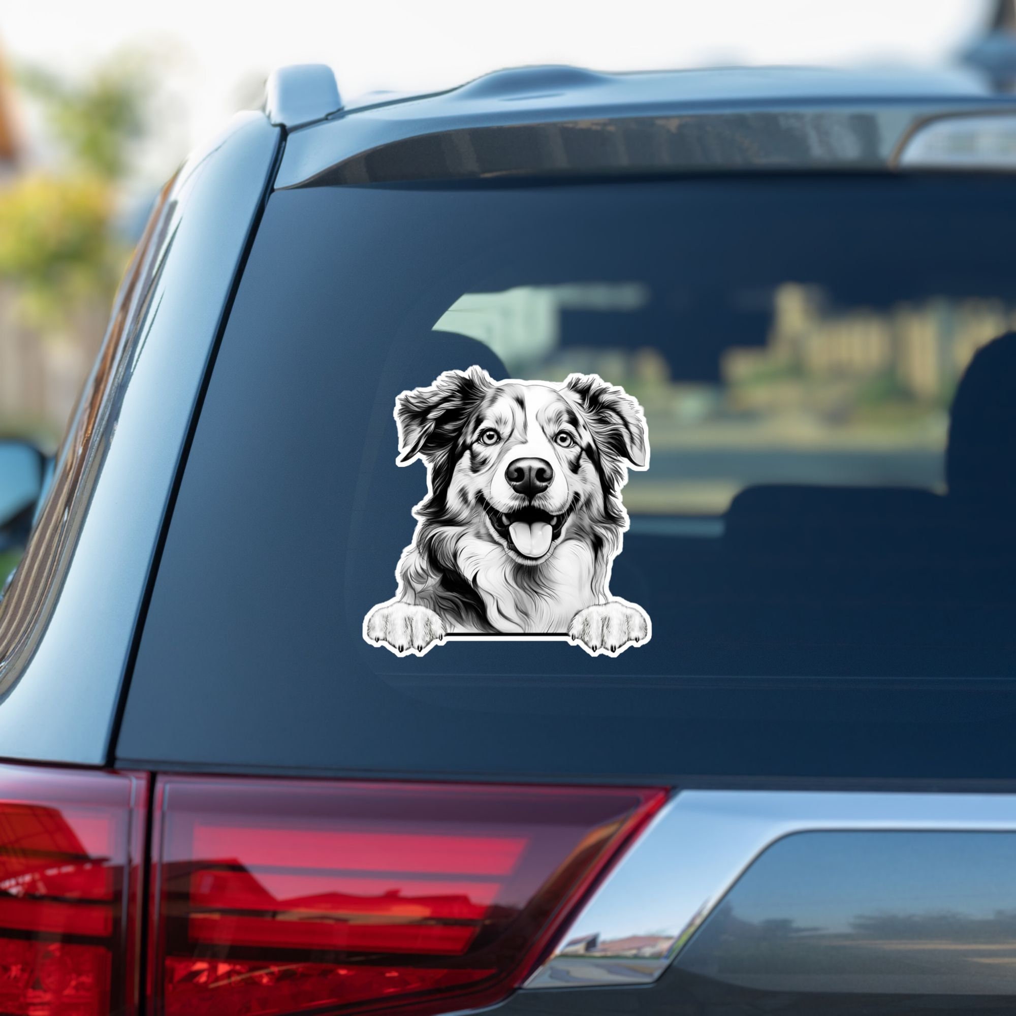 Custom Australian Shepherd Car Window Decal, Peeking Shepherd Head ...