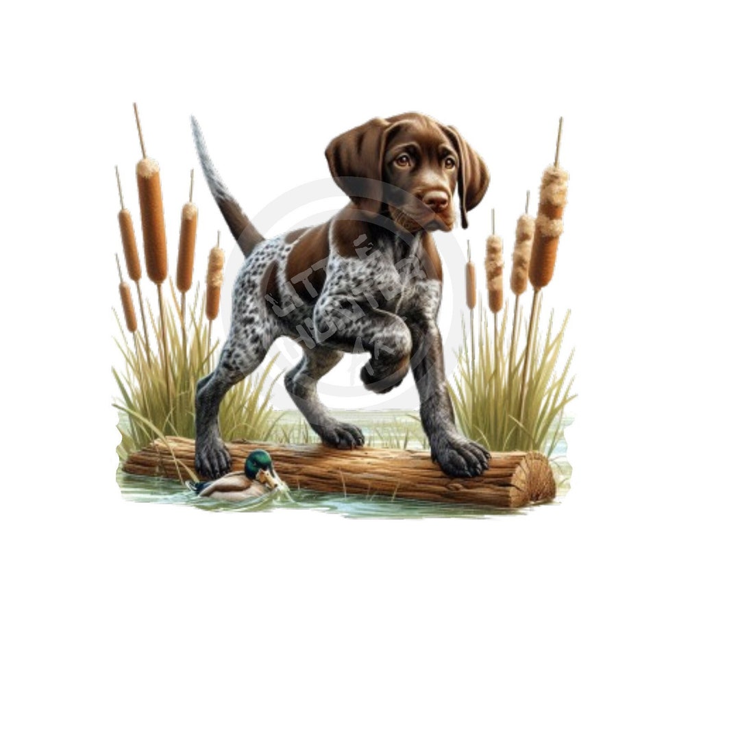 German Short Hair Pointer PNG: Bird Hunting Dog Graphic (digital ...