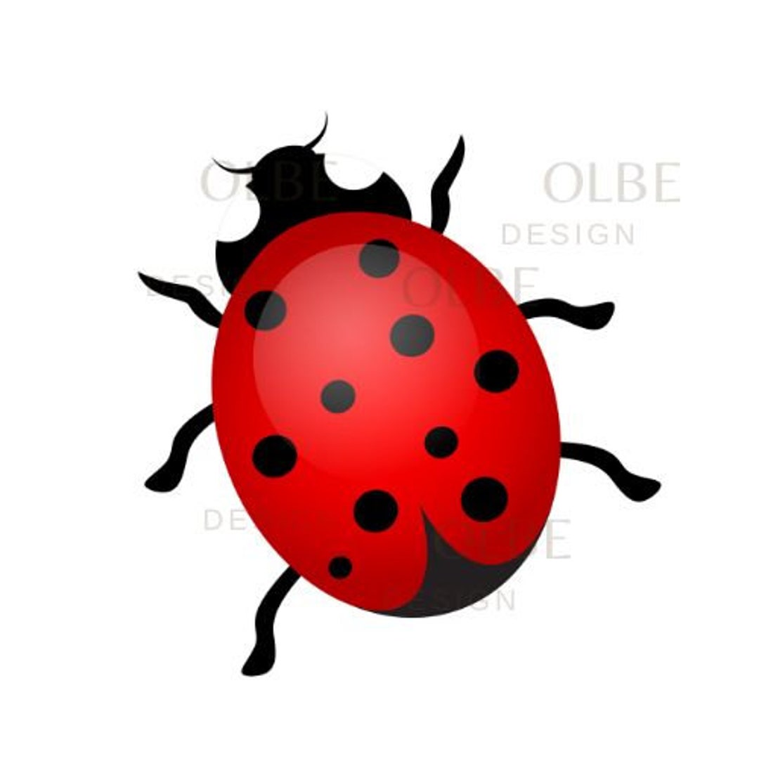 Ladybug on a Transparent Background. Vector Illustration. Instant ...