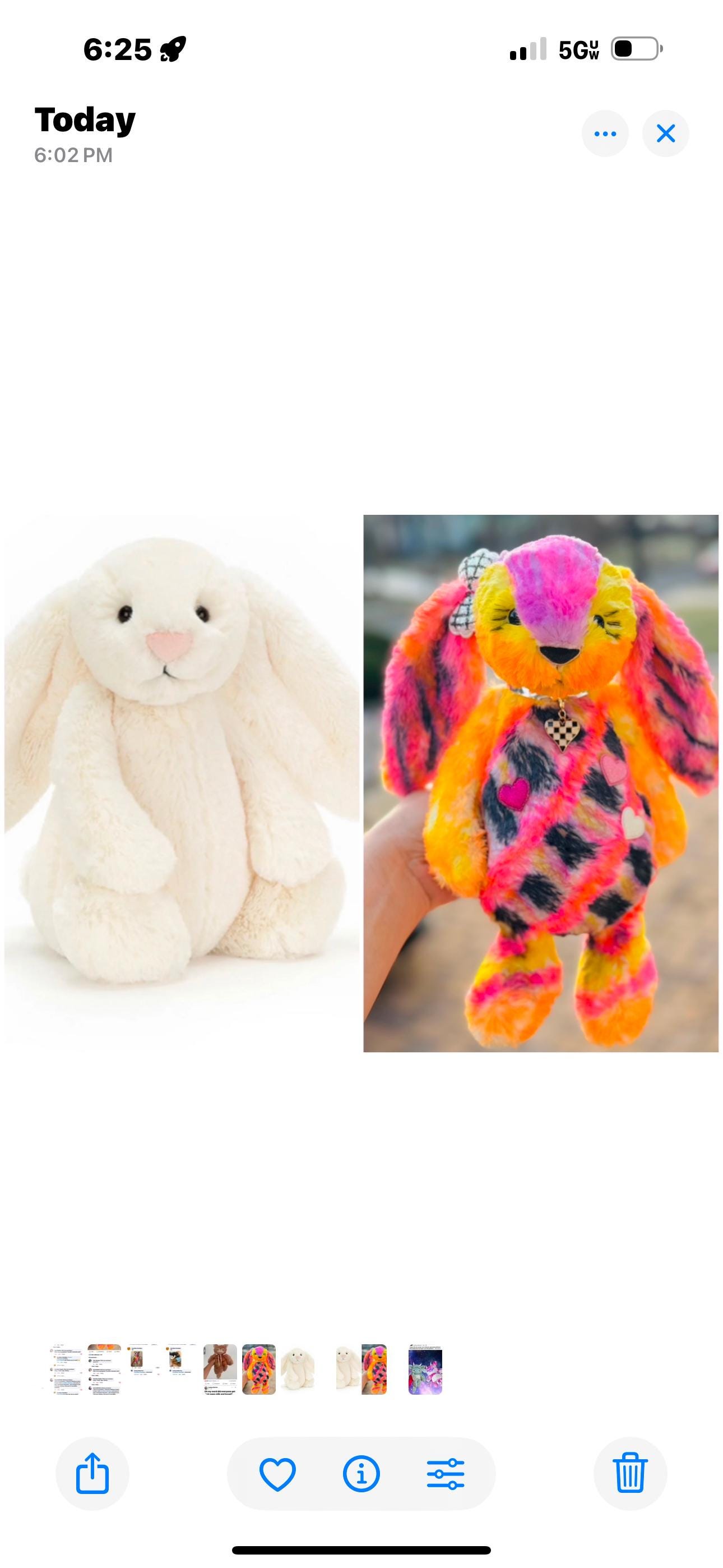 Custom Handcolored Jelly Cat Choose Your Theme and Send in Your Jelly ...