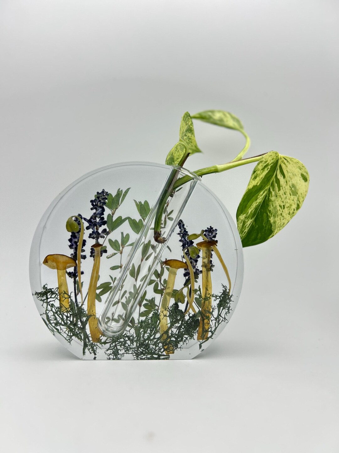 Mushroom Propagation Station | Decorative Vase - Etsy