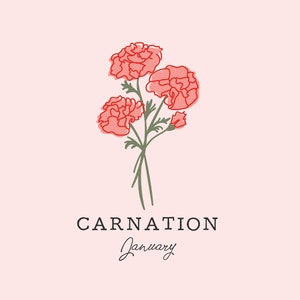 Carnation | January Birth Flower | Art Print - Etsy