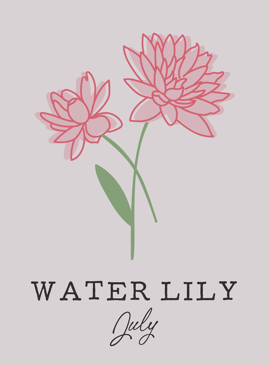 Water Lily | July Birth Flower | Art Print - Etsy