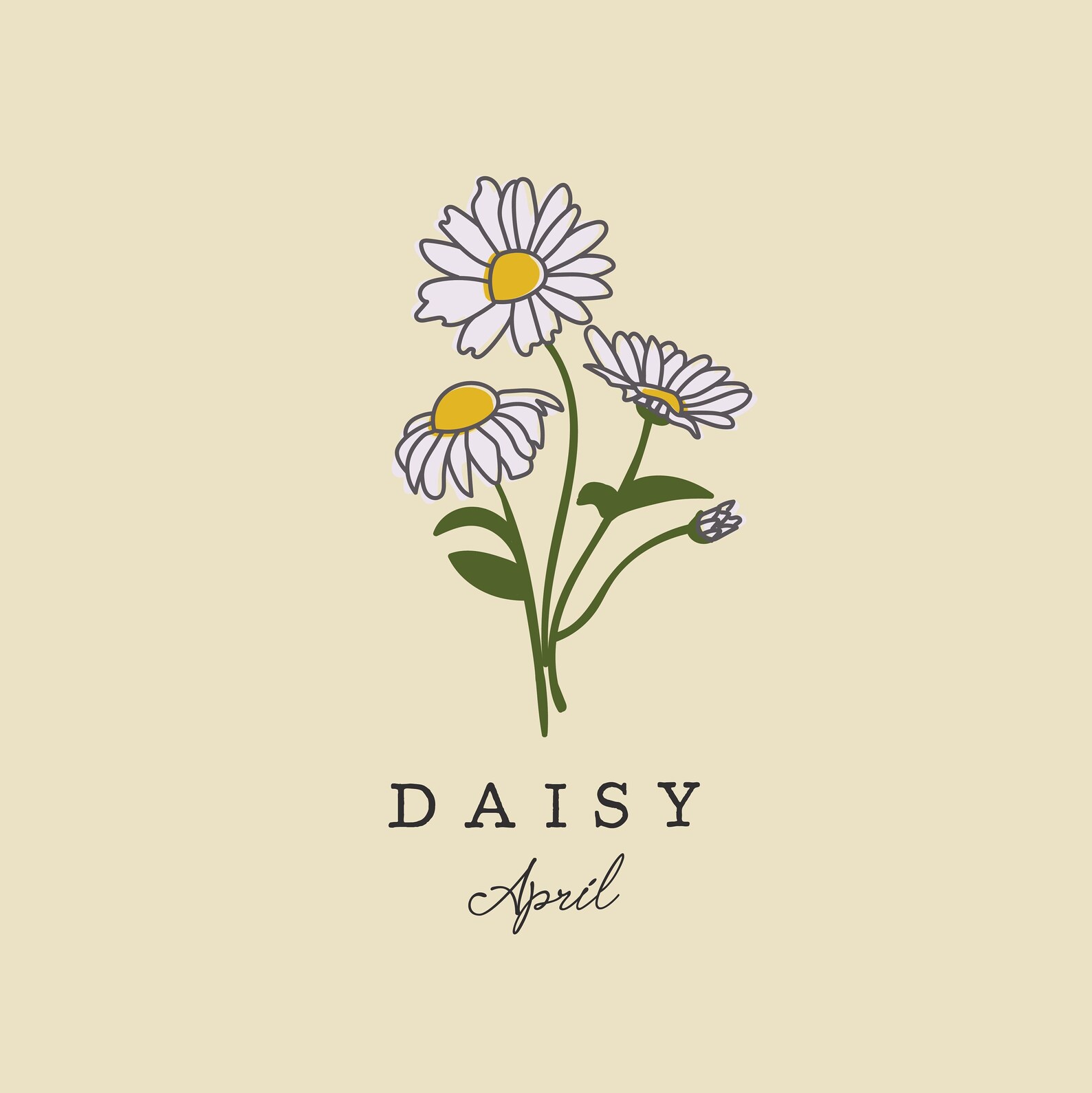 Daisy | April Birth Flower | Art Print - Etsy