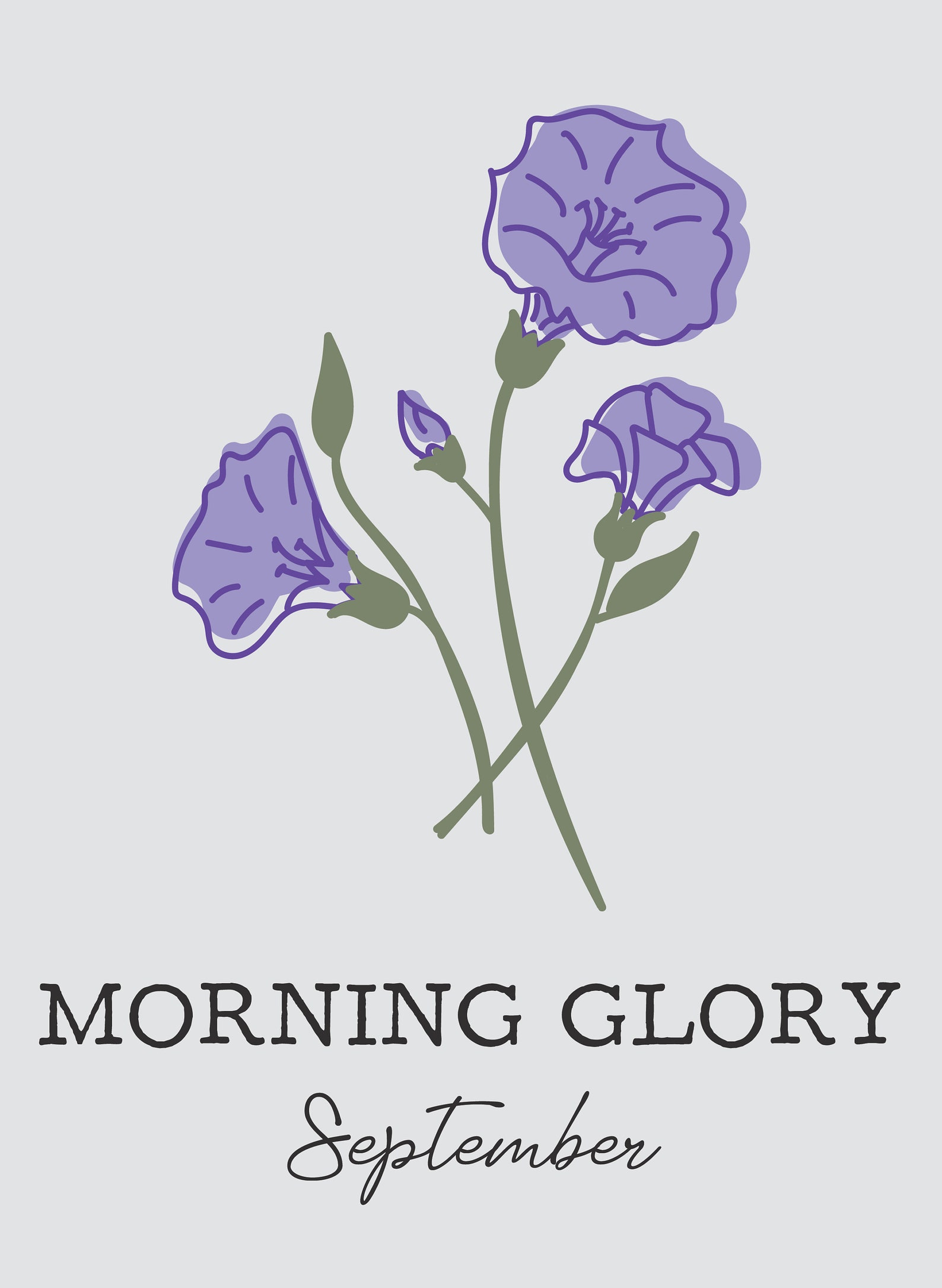 Morning Glory | September Birth Flower | Art Print - Etsy