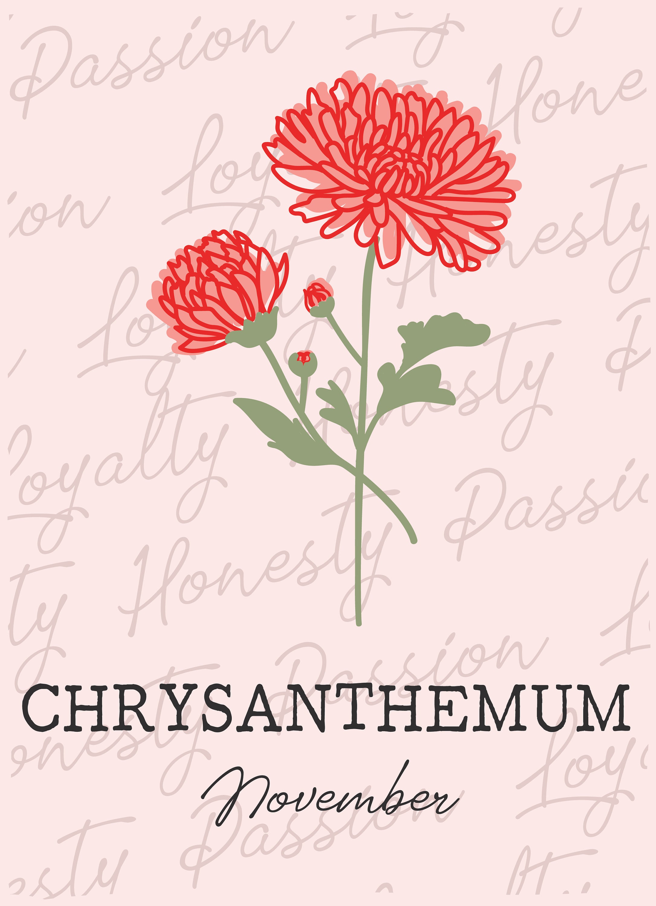 Chrysanthemum November Birth Flower Art Print - Etsy