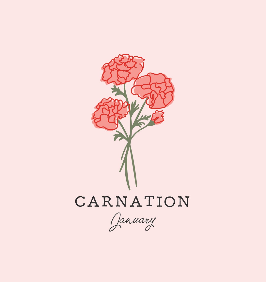 Carnation | January Birth Flower | Art Print - Etsy
