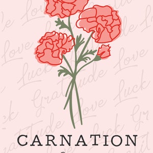 Carnation | January Birth Flower | Art Print - Etsy