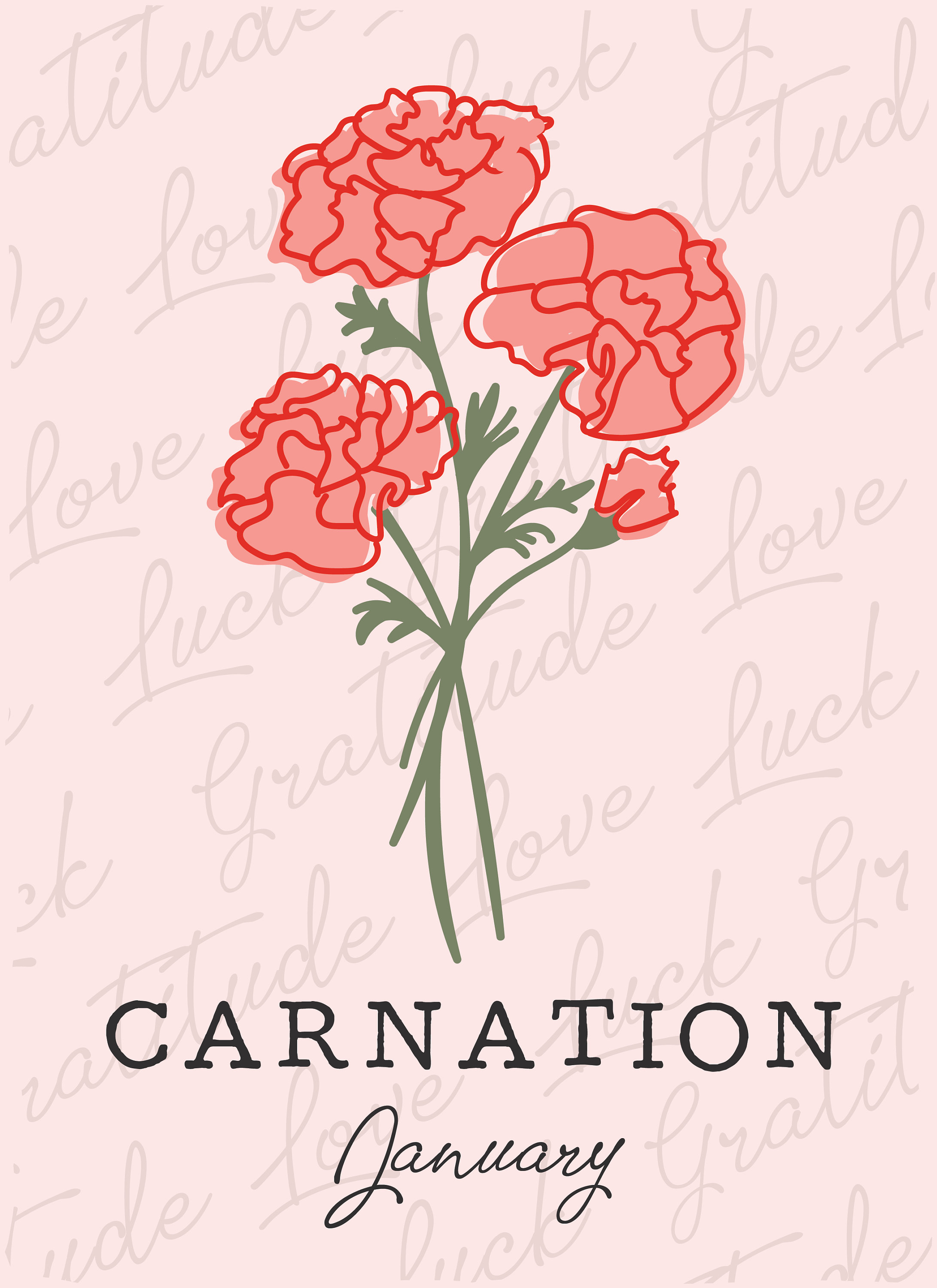 Carnation | January Birth Flower | Art Print - Etsy