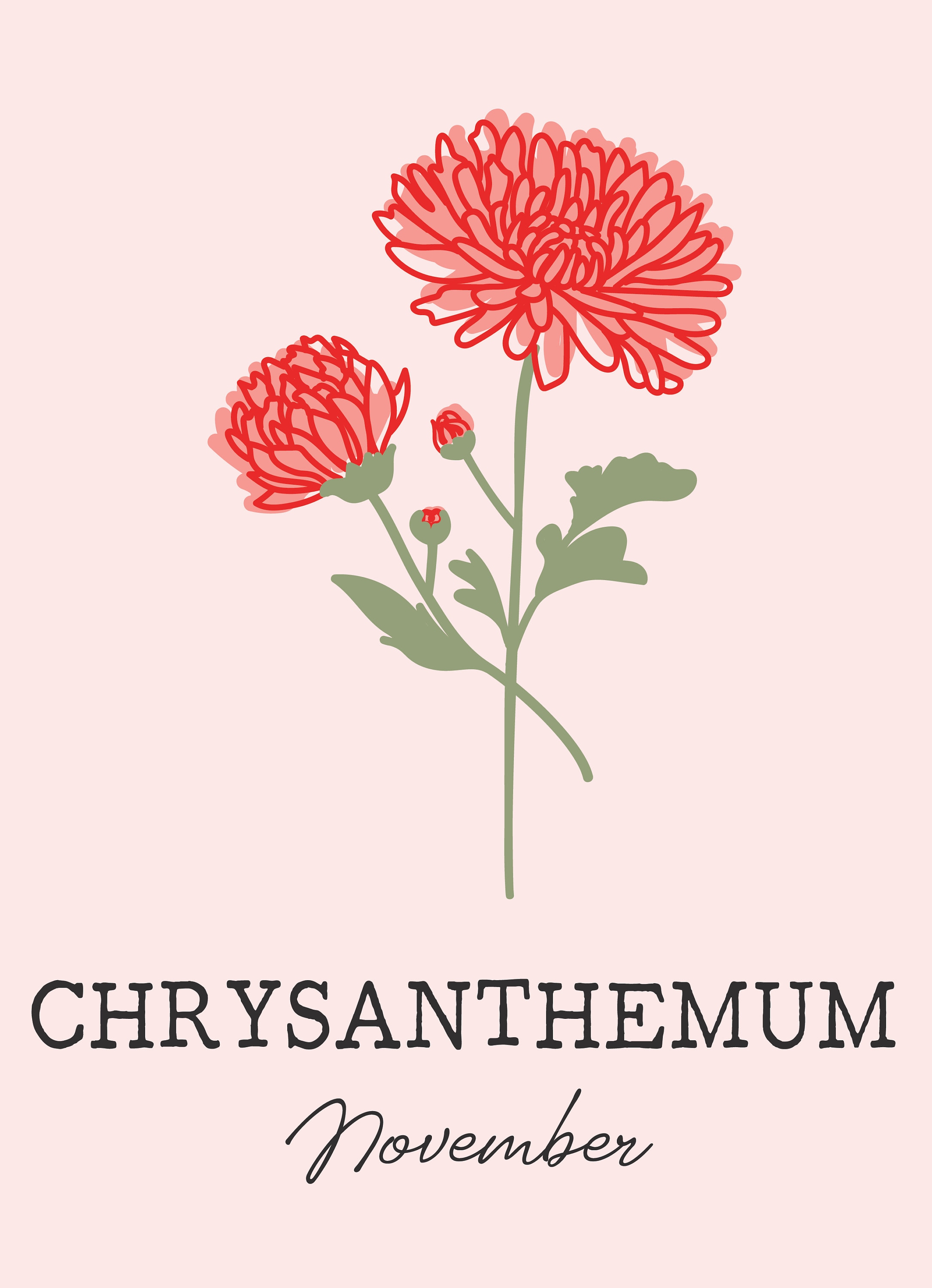 Chrysanthemum November Birth Flower Art Print - Etsy