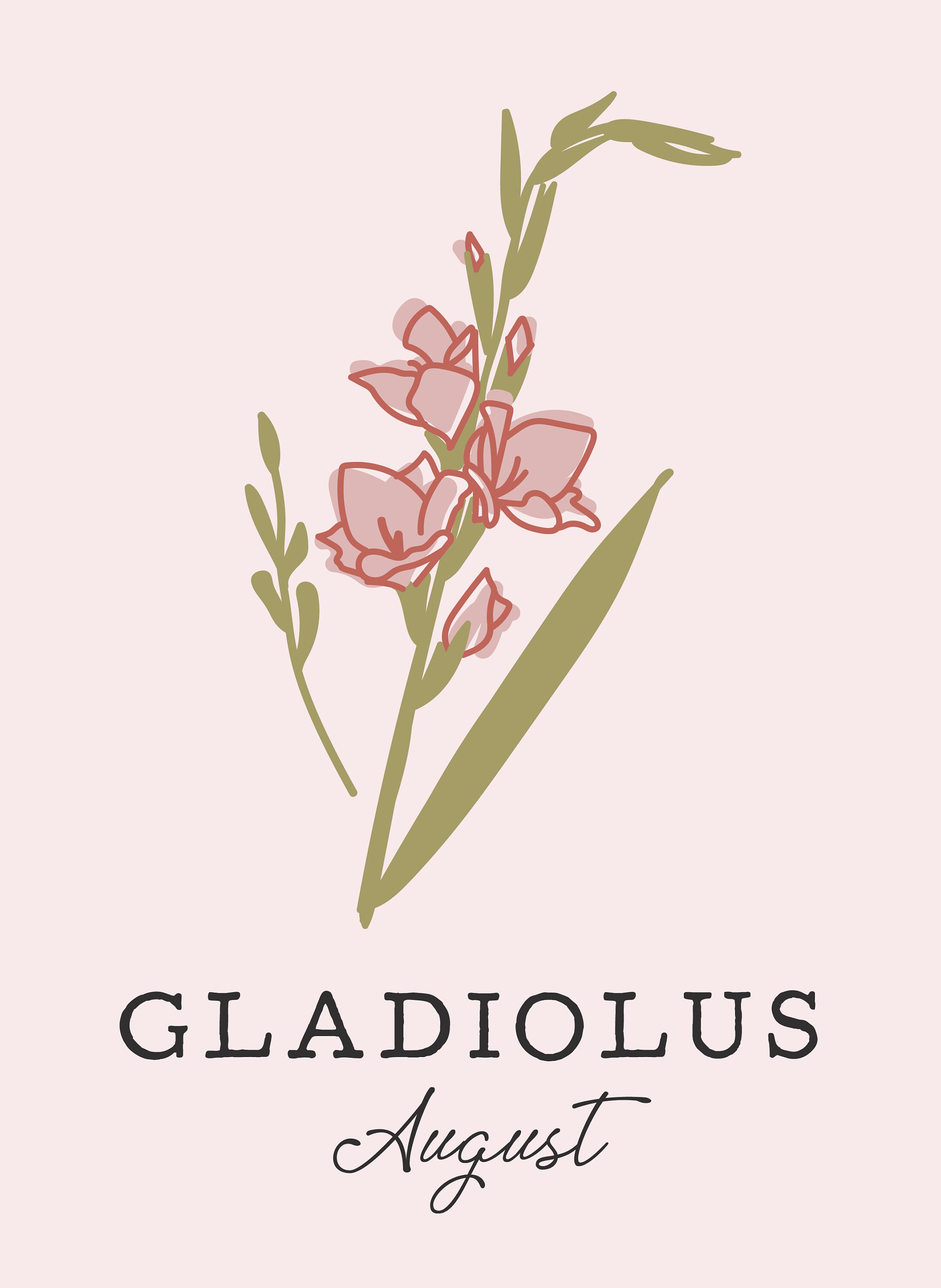 Gladiolus | August Birth Flower | Art Print - Etsy