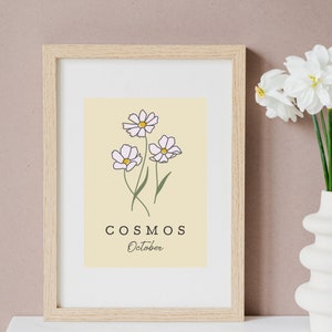 Cosmos | October Birth Flower | Art Print - Etsy