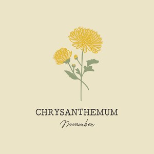Chrysanthemum | November Birth Flower | Art Print (yellow) - Etsy