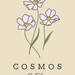 Cosmos | October Birth Flower | Art Print - Etsy