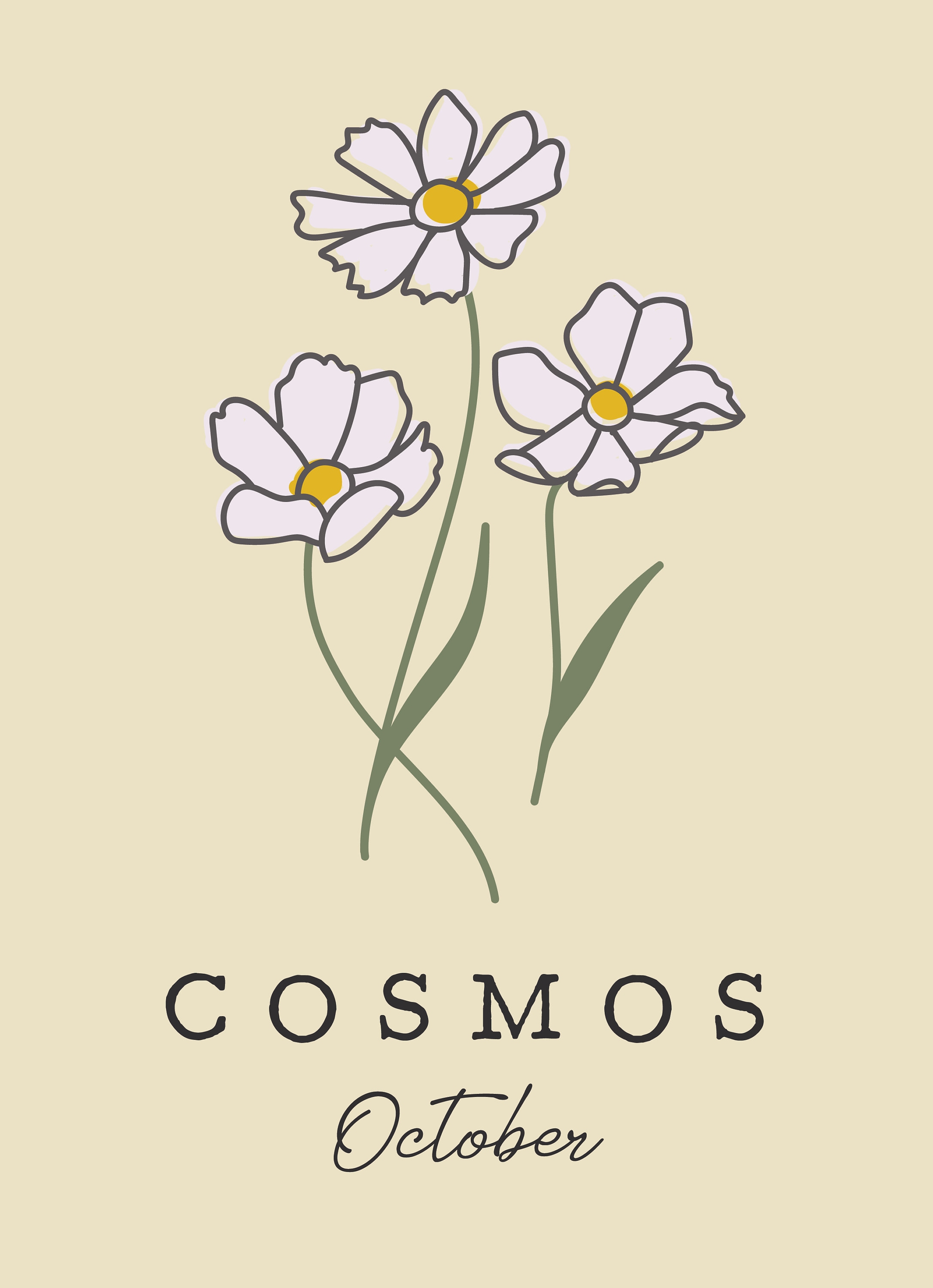 Cosmos | October Birth Flower | Art Print - Etsy