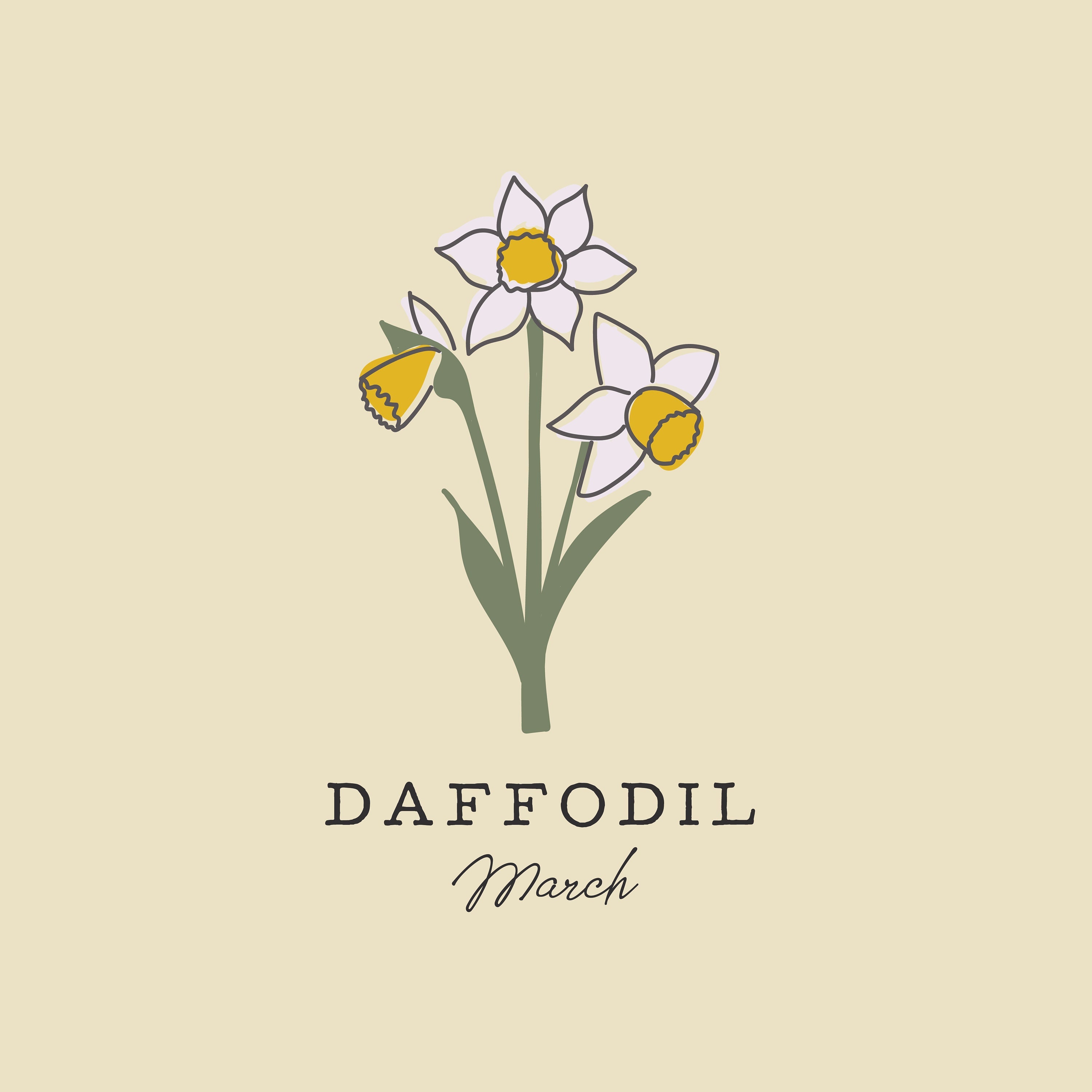 Daffodil | March Birth Flower | Art Print - Etsy
