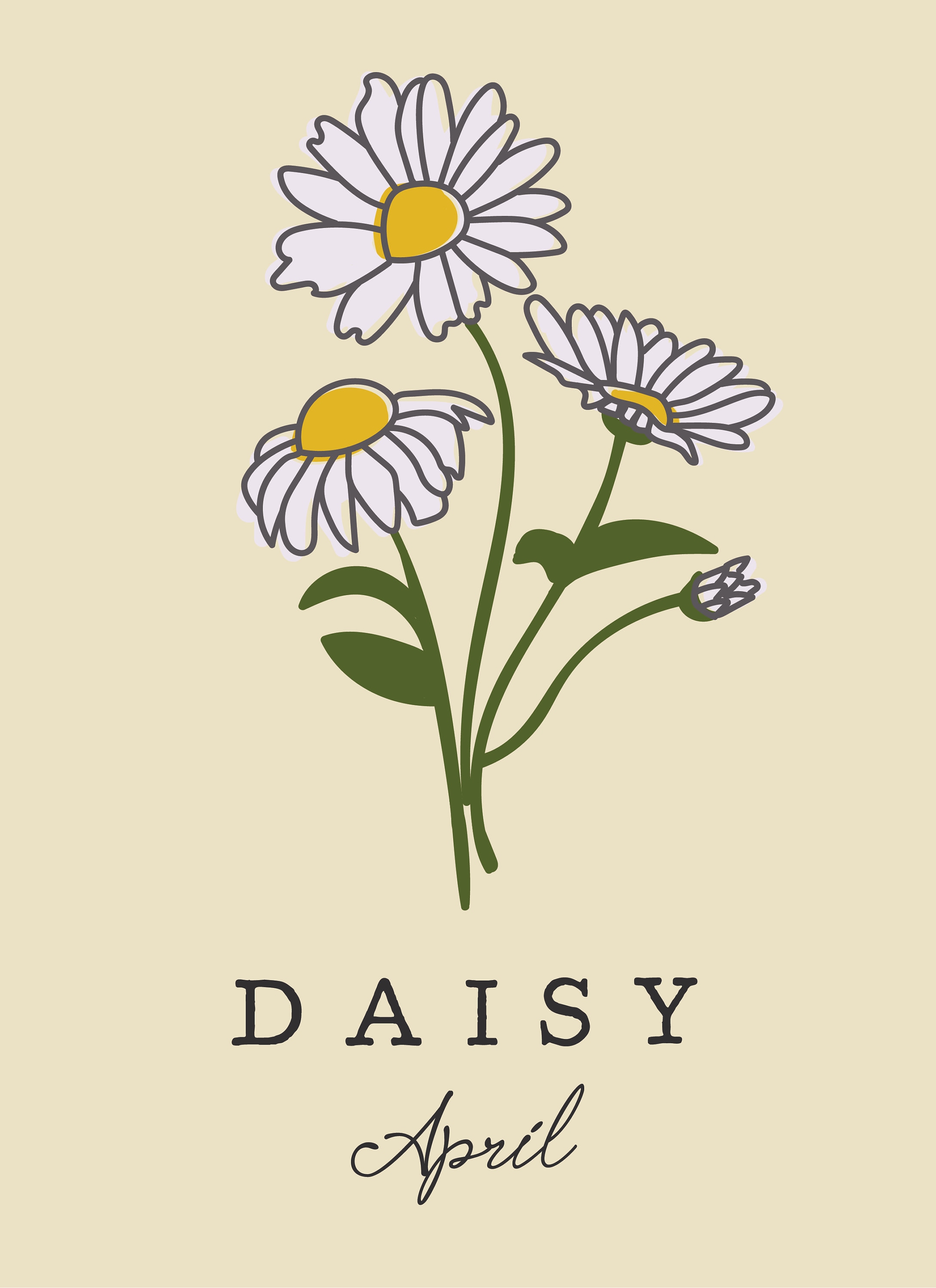 Daisy | April Birth Flower | Art Print - Etsy