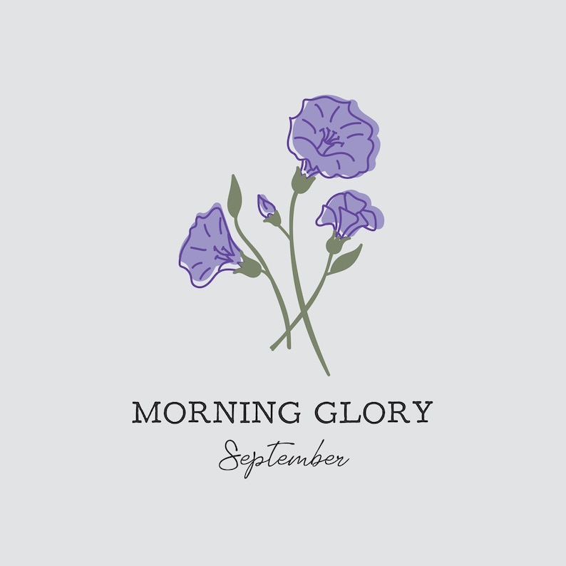 Morning Glory | September Birth Flower | Art Print - Etsy