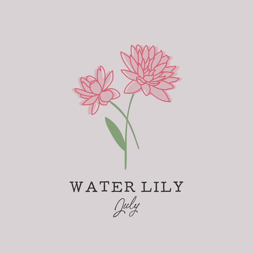Water Lily | July Birth Flower | Art Print - Etsy