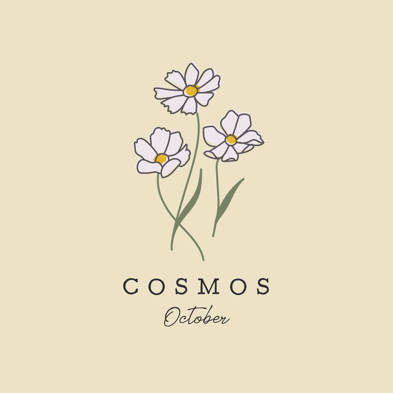 Cosmos October Birth Flower Art Print - Etsy