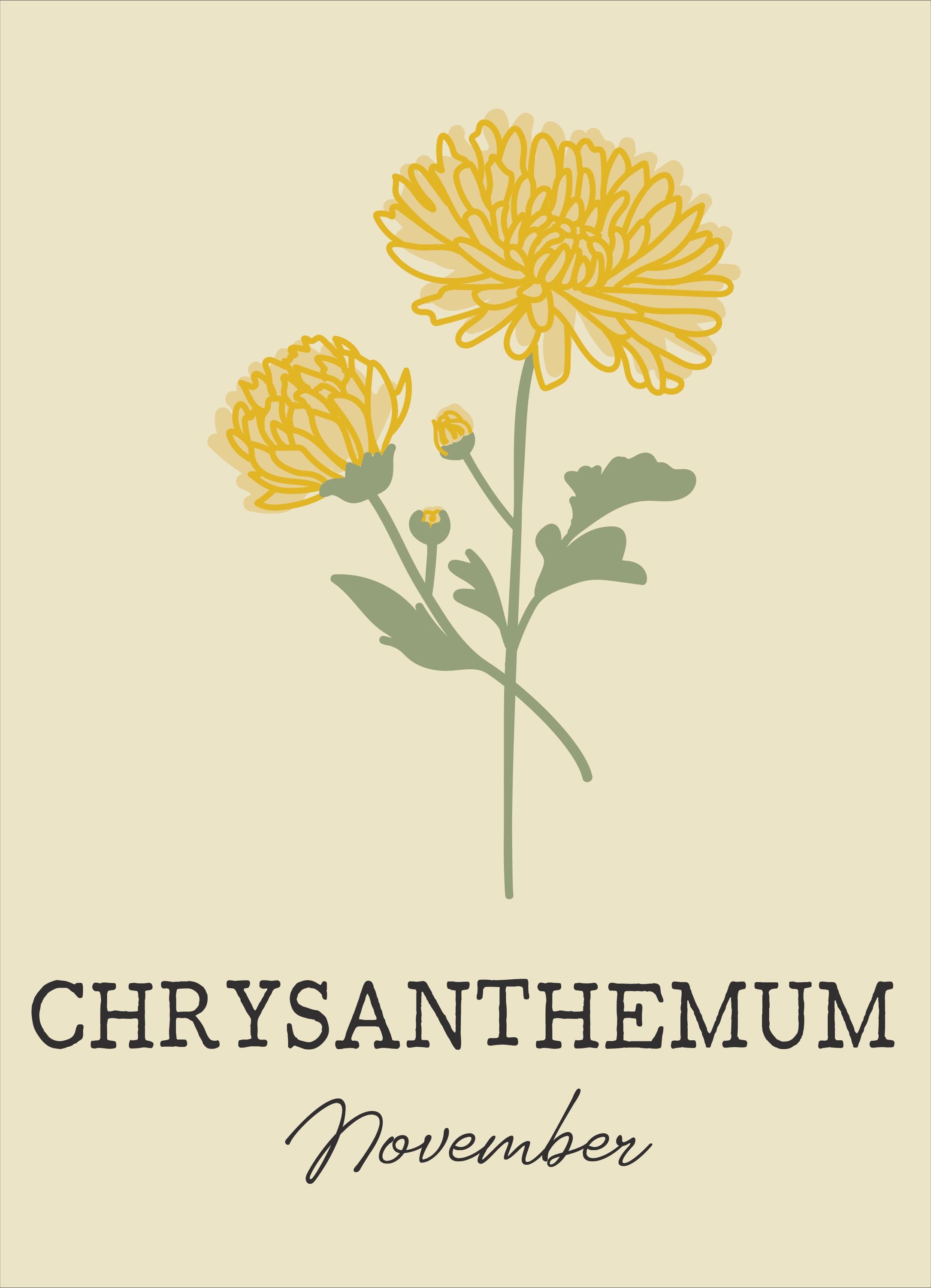 Chrysanthemum | November Birth Flower | Art Print (yellow) - Etsy