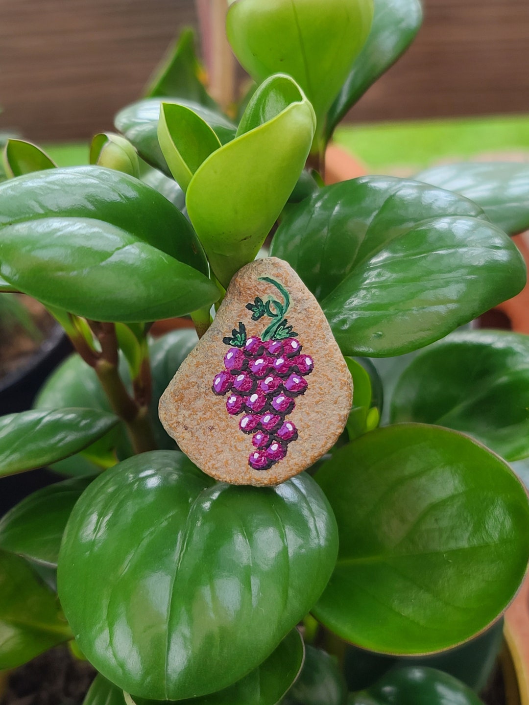 Bundle of Grapes - Etsy