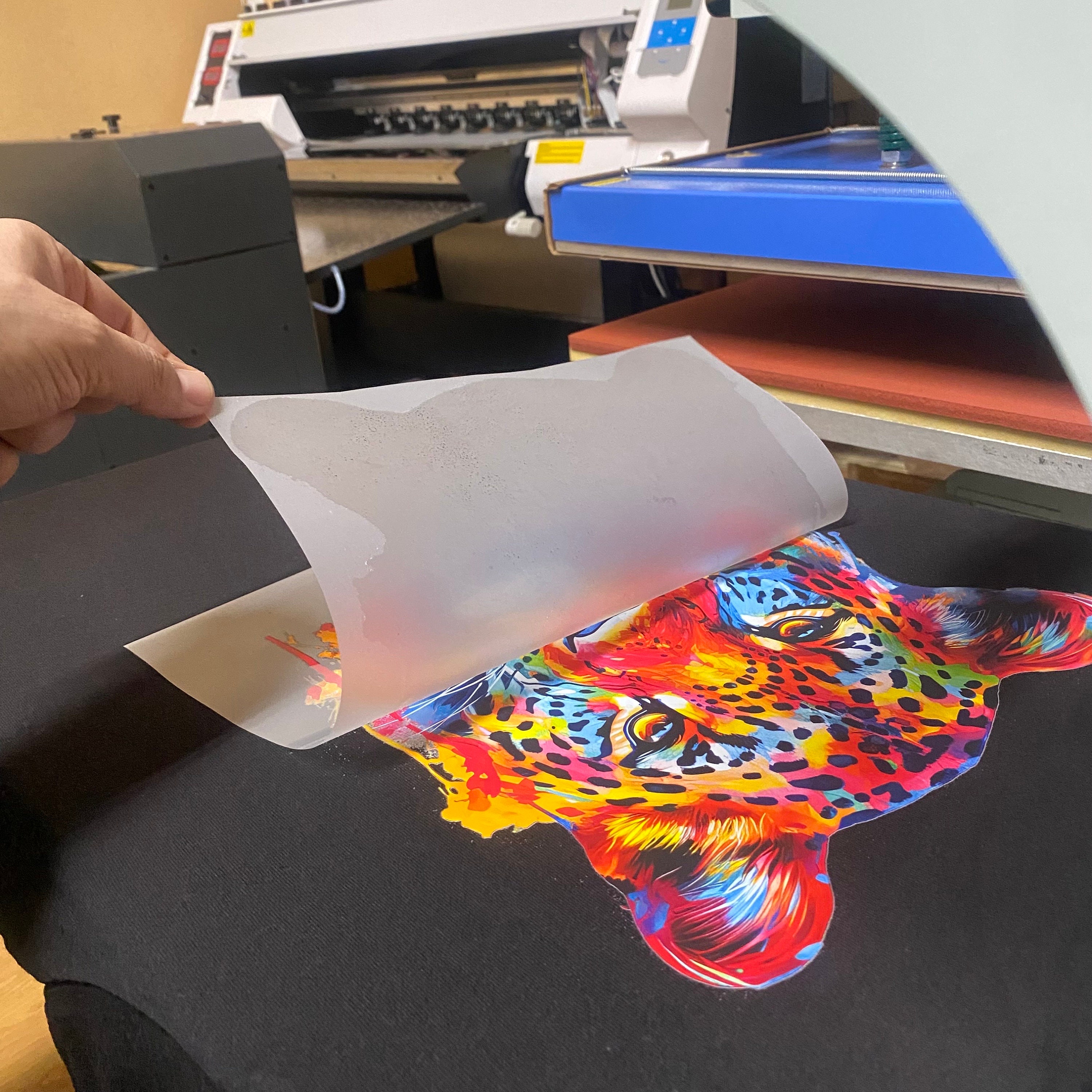 Custom Gang Sheet, Full Color DTF, Shirt Heat Transfer, Ready to Apply ...