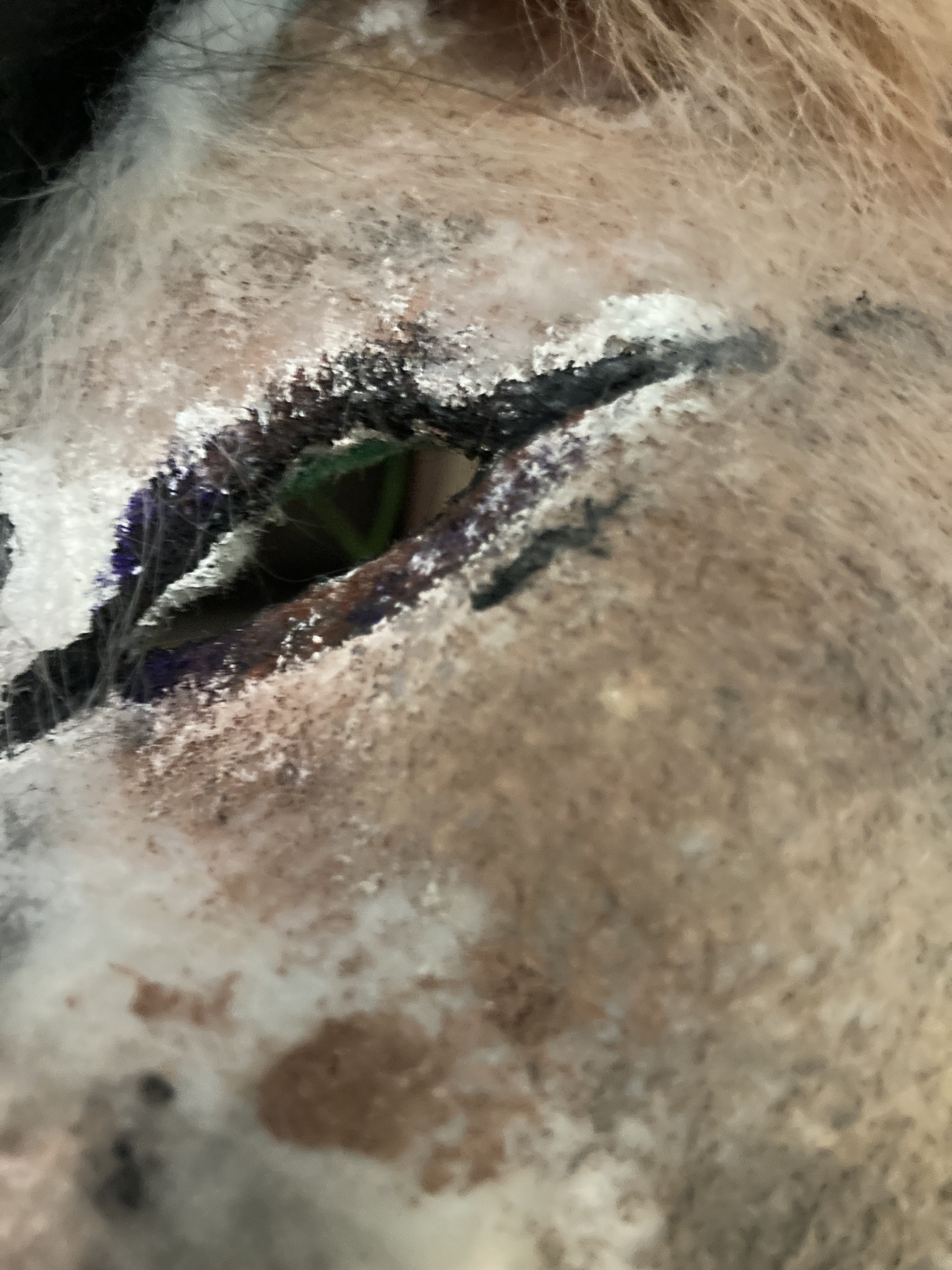 Therian Mask - Etsy