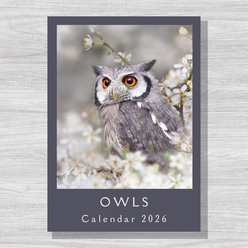 Owls 2026 Calendar - Etsy