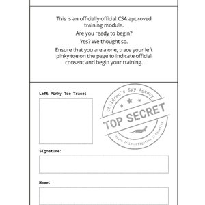 Agent Asha Spy Training: Spy Identities Activity Book - Etsy
