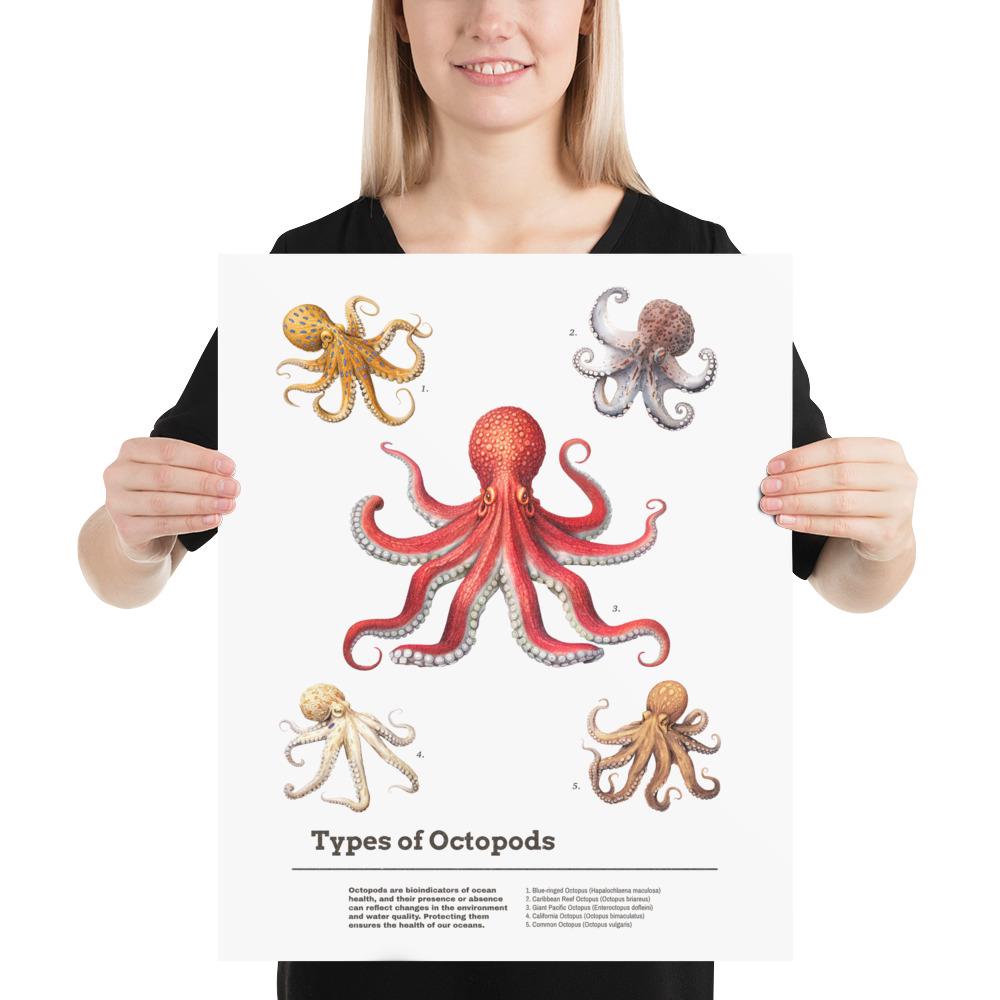 Types of Octopods Poster - Etsy