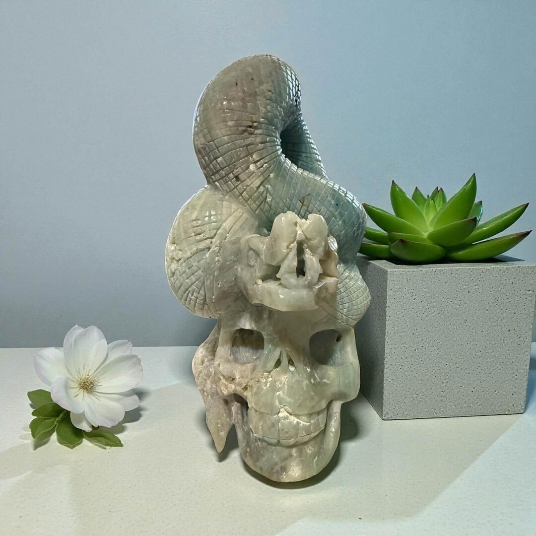 Massive Caribbean Calcite Skull With Snake – 9” Tall | 7 Lbs 4 Oz - Etsy