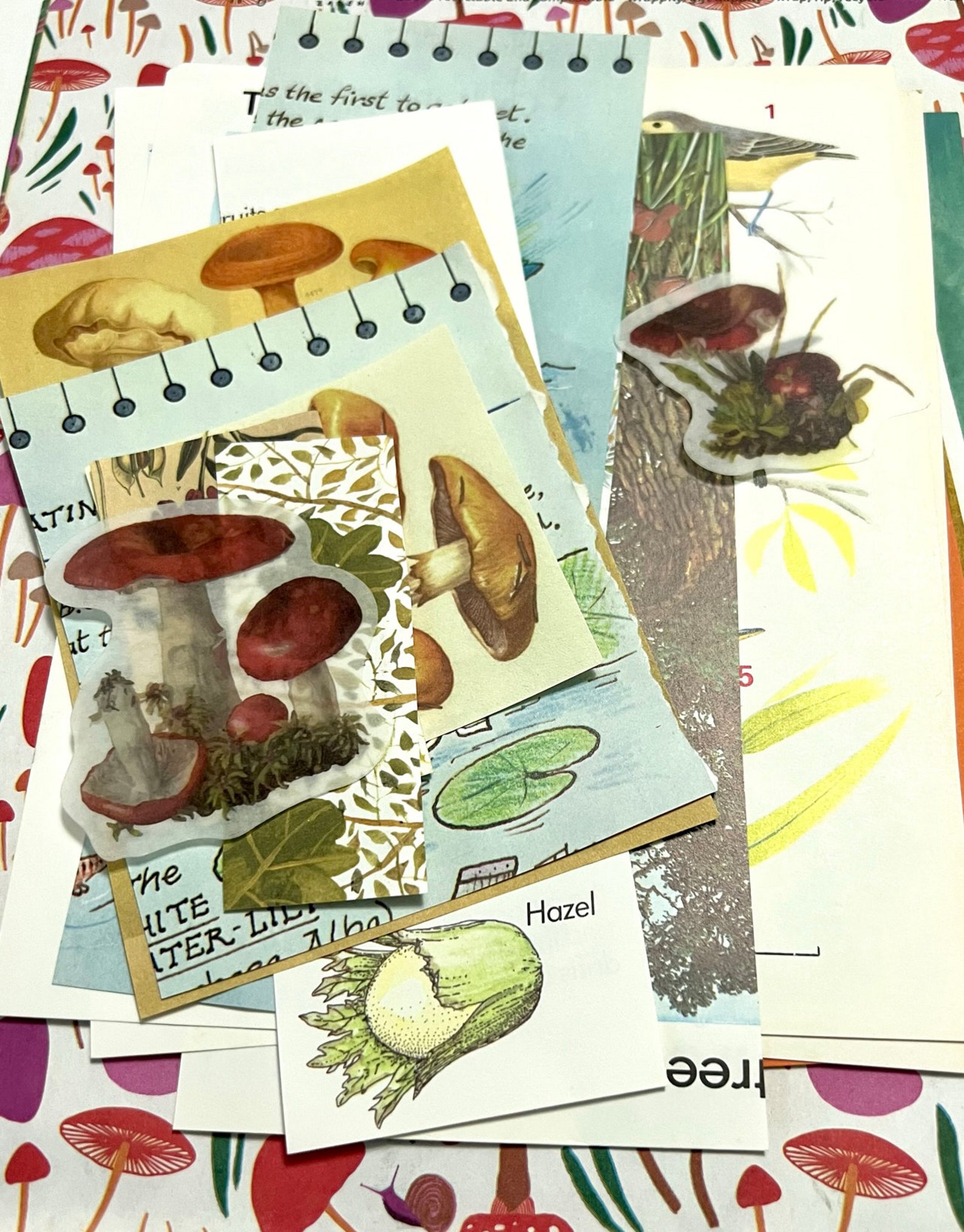 Naturalist Ephemera , Vintage Papers, Scrapbooking Mushrooms, Snails ...