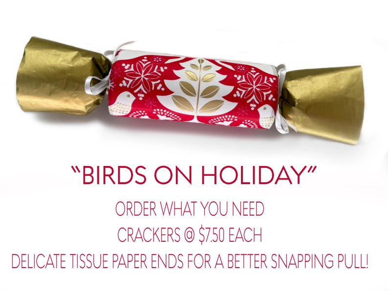 Christmas Crackers, Birds on Holiday, Single, Sustainable - Etsy