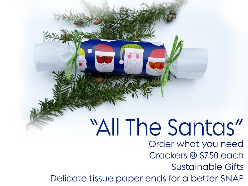 Christmas Crackers, All the Santas, Sustainable Single Christmas ...