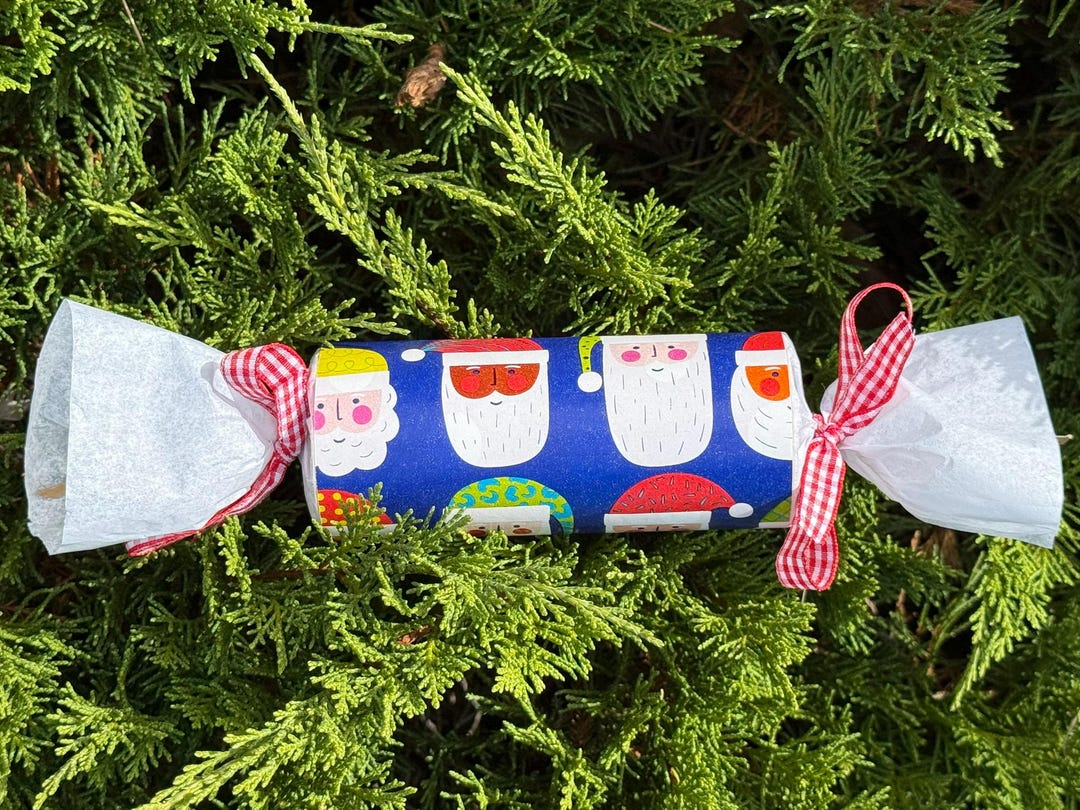 Christmas Crackers, All the Santas, Sustainable Single Christmas ...