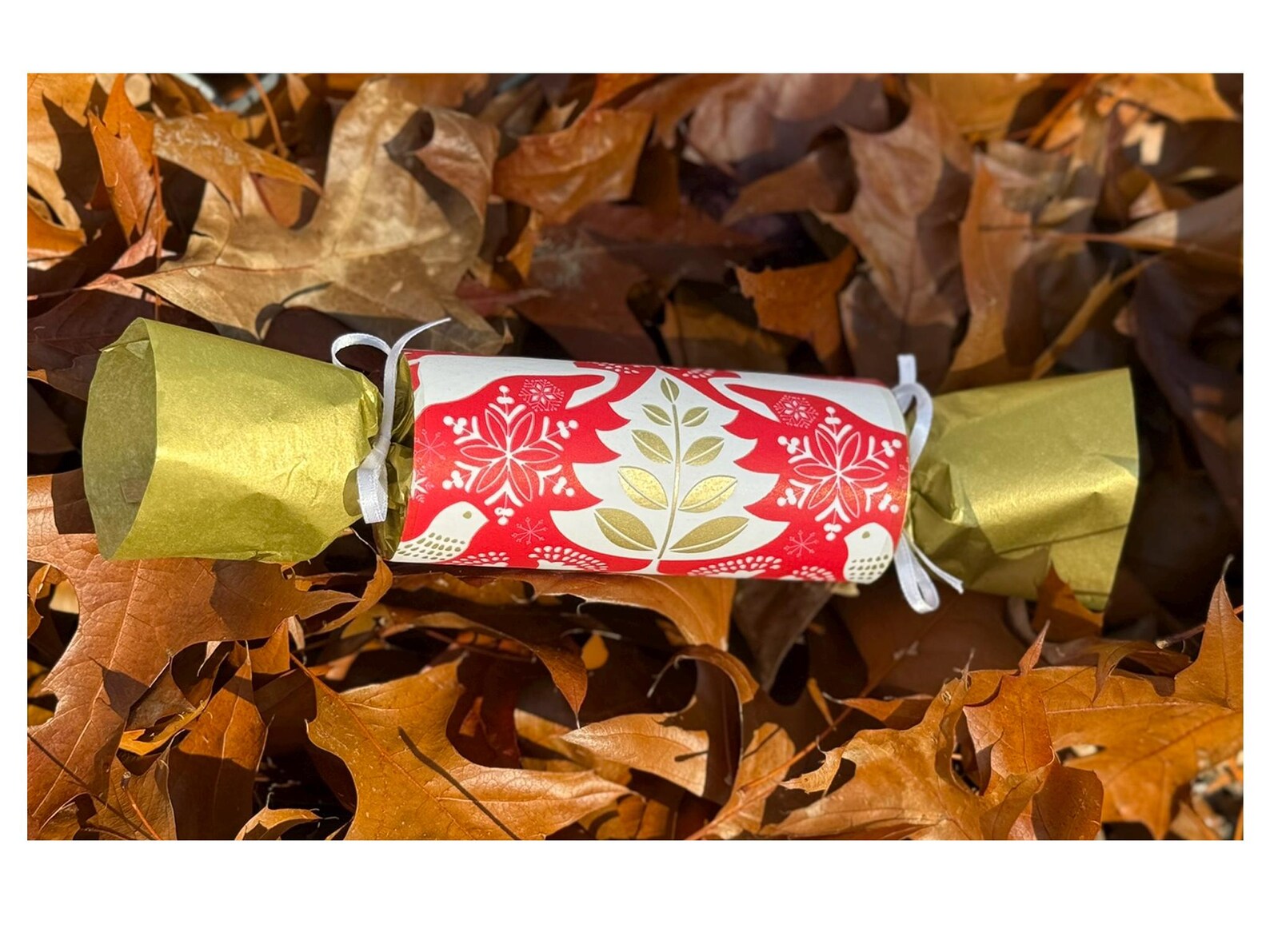 Christmas Crackers, Birds on Holiday, Single, Sustainable - Etsy