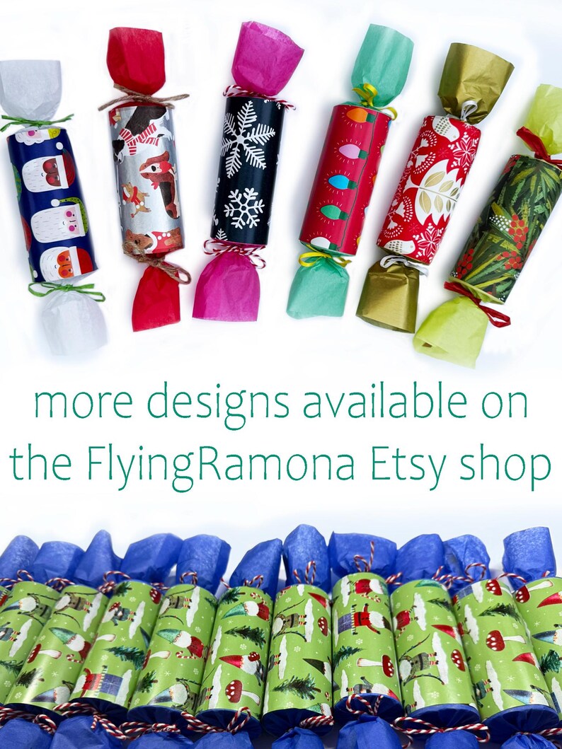 Christmas Crackers, Birds on Holiday, Single, Sustainable - Etsy