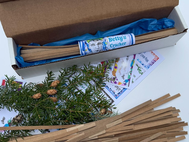 Christmas Cracker Snaps, DIY Cracker Making Supplies - Etsy