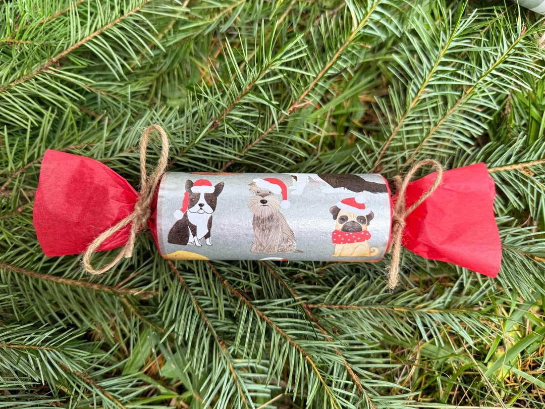 Christmas Crackers, Happy Pawlidays, Sustainable, Single Christmas ...