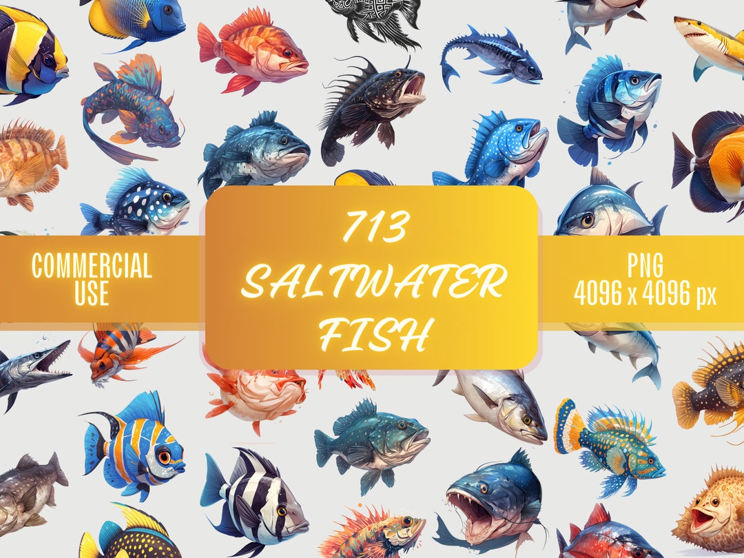 Saltwater Fish Clipart Bundle: 713 PNG Images (commercial Use) - Etsy
