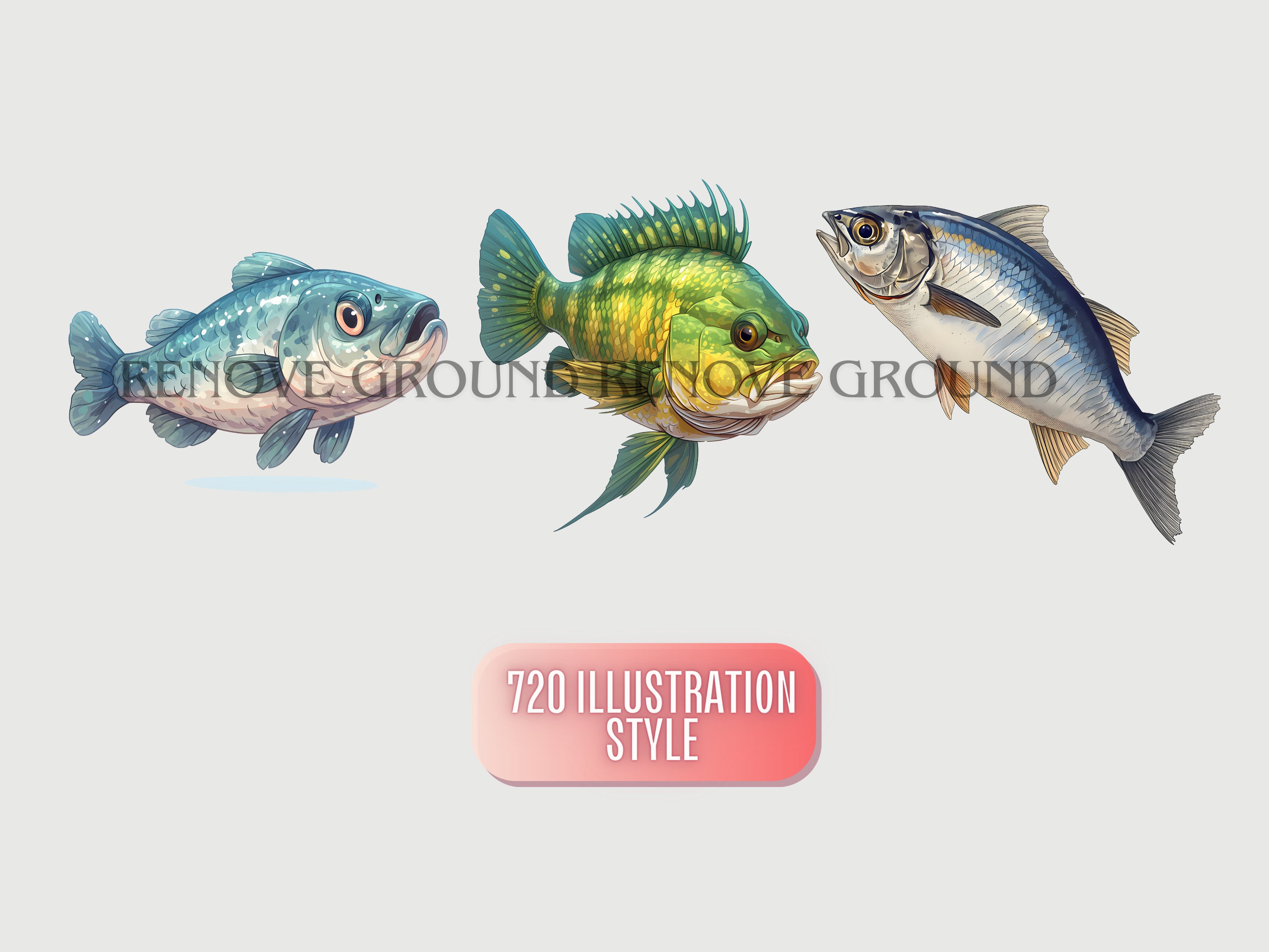 Freshwater Fish Clipart Bundle: 720 PNG Images, Commercial Use (digital ...
