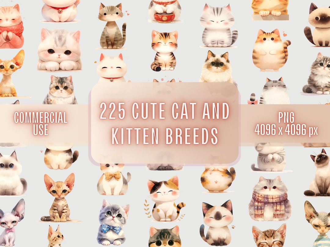 225 Cute Kitten and Cat Clipart Bundle PNG Commercial Use | Watercolor ...