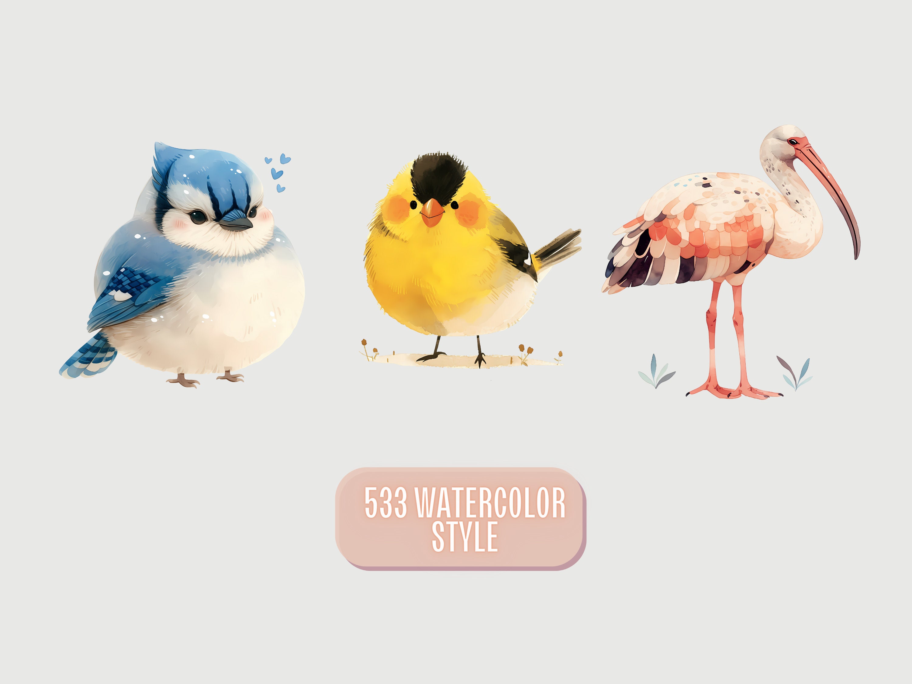 605 Cute Watercolor Birds Species Clipart Bundle PNG Commercial Use ...