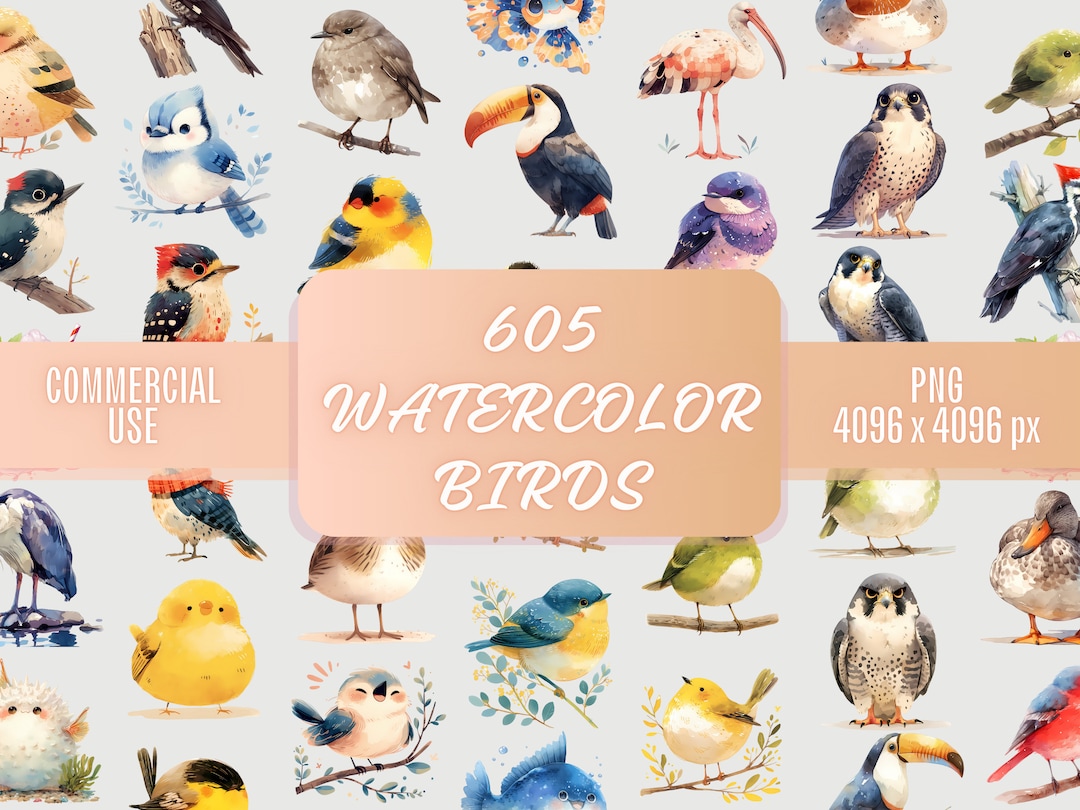605 Cute Watercolor Birds Species Clipart Bundle PNG Commercial Use ...