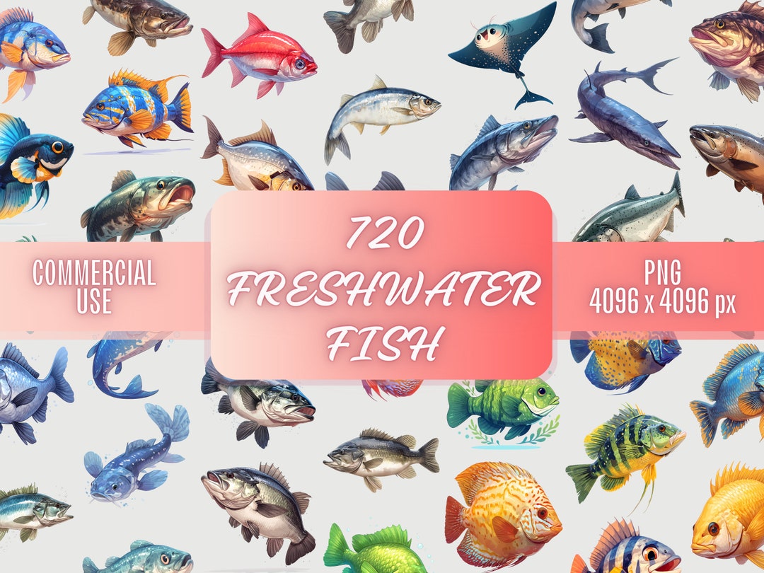 720 Freshwater Fish Species Clipart Bundle PNG Commercial Use Fishes ...